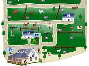 The Farm - Moher Hill Open Farm