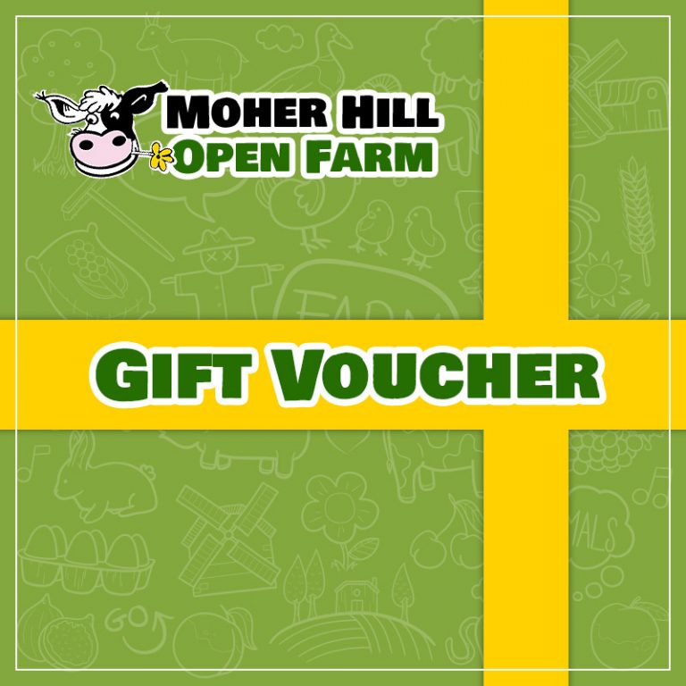 Moher Farm Gift Voucher - Moher Hill Open Farm